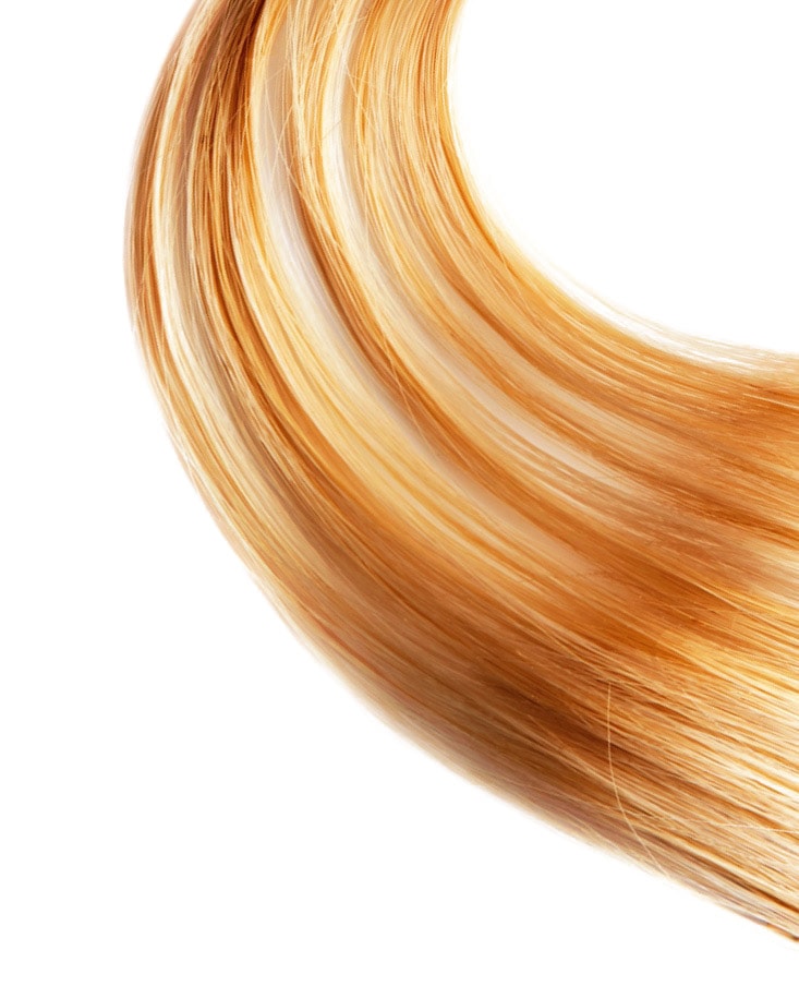 ELI Colour | Max Eli