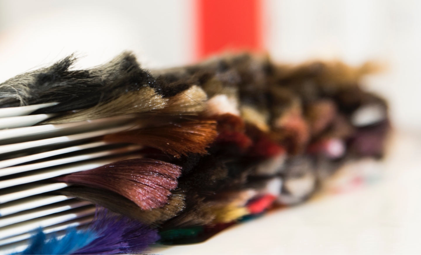 ELI Colour | Max Eli